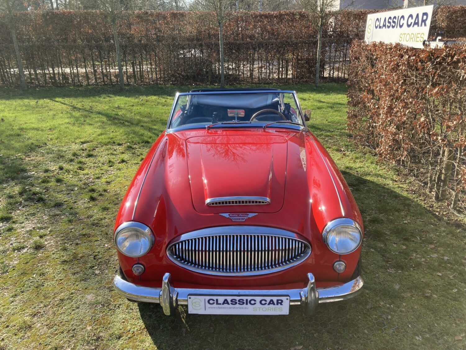 Austin Healey - Classic Car Stories Antwerpen
